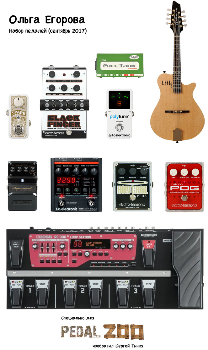 Педалборд для мандолины - Blog - Интернет магазин PedalZoo